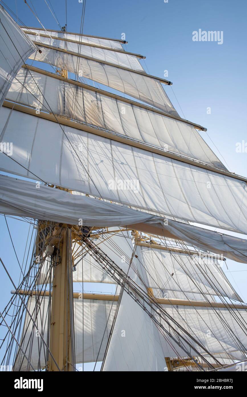 Caribbean, Dominica. Sails on the tar Clipper sailing ship Stock Photo ...