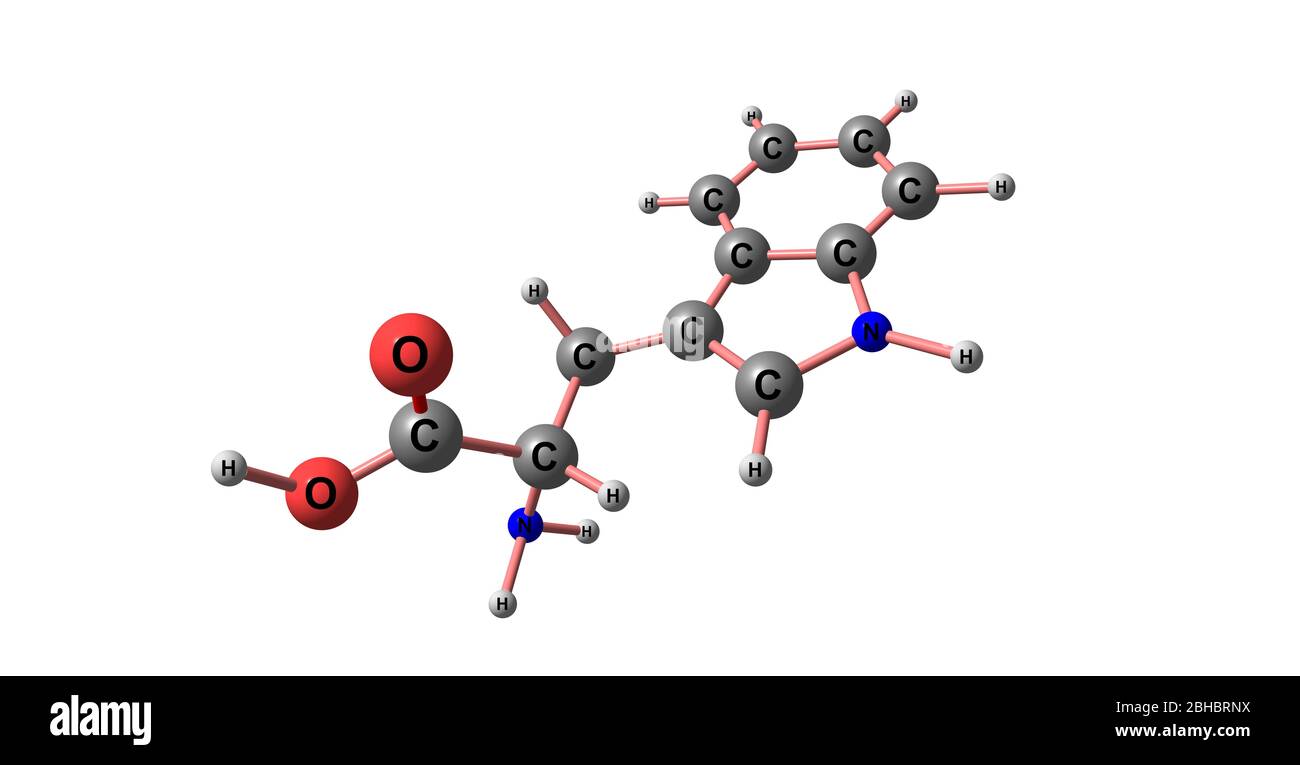 Tryptophan or Trp is an amino acid that is used in the biosynthesis of ...