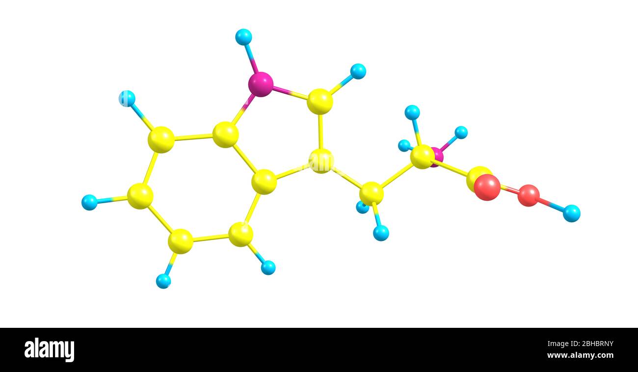 Tryptophan or Trp is an amino acid that is used in the biosynthesis of ...