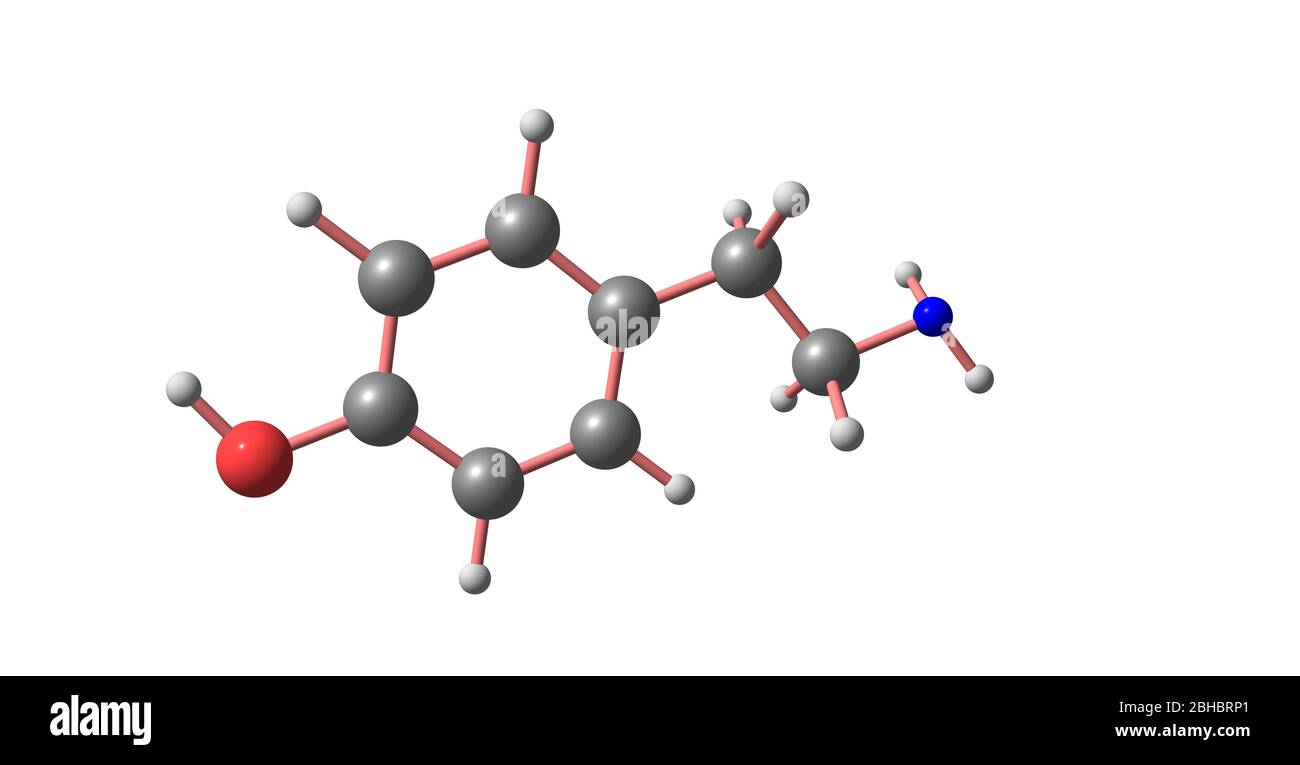Tyramine is a naturally occurring trace amine derived from the amino ...