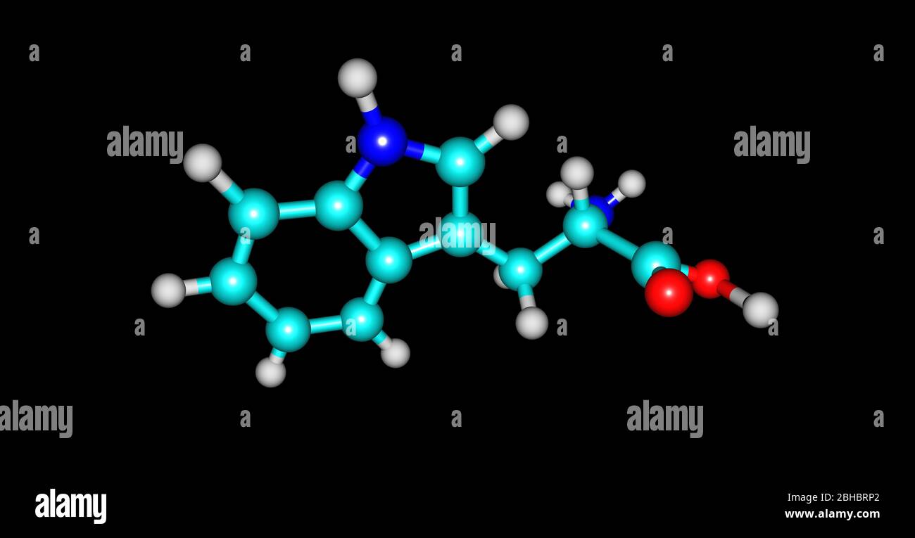 Tryptophan or Trp is an amino acid that is used in the biosynthesis of ...