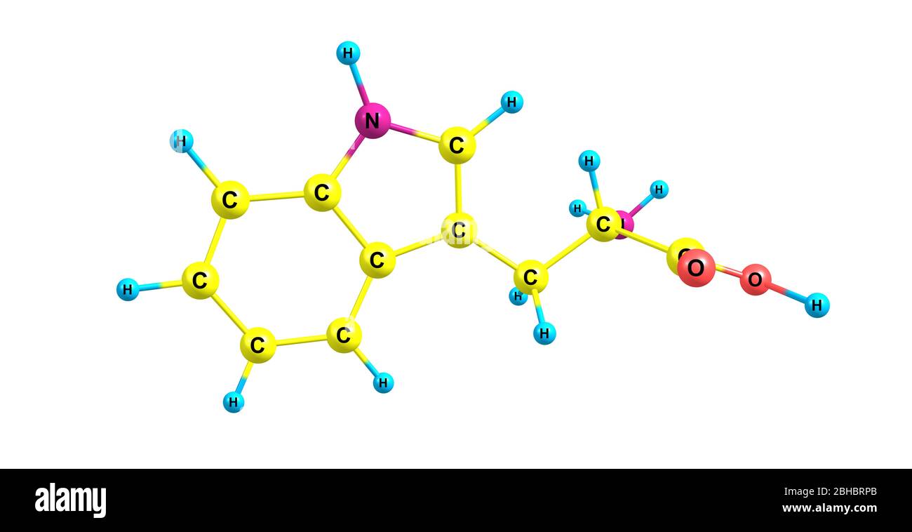Tryptophan trp amino acid molecular hi-res stock photography and images ...