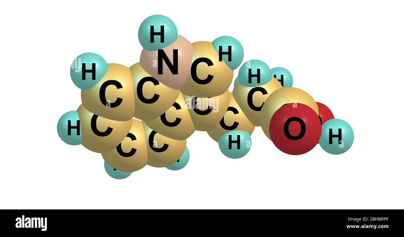 Tryptophan or Trp is an amino acid that is used in the biosynthesis of ...