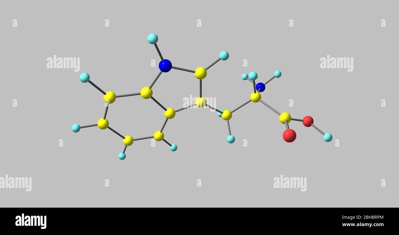 Tryptophan trp amino acid molecular hi-res stock photography and images ...