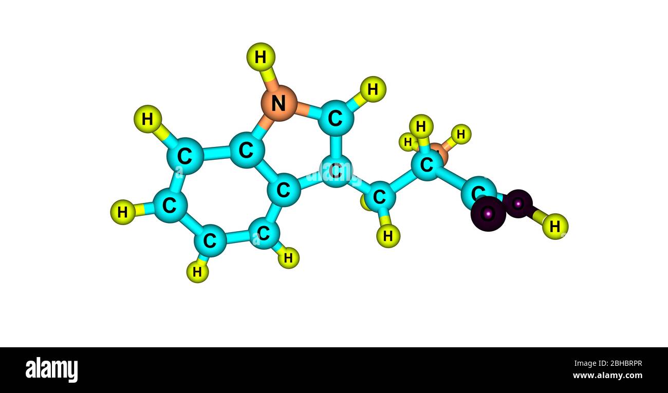 Tryptophan or Trp is an amino acid that is used in the biosynthesis of ...