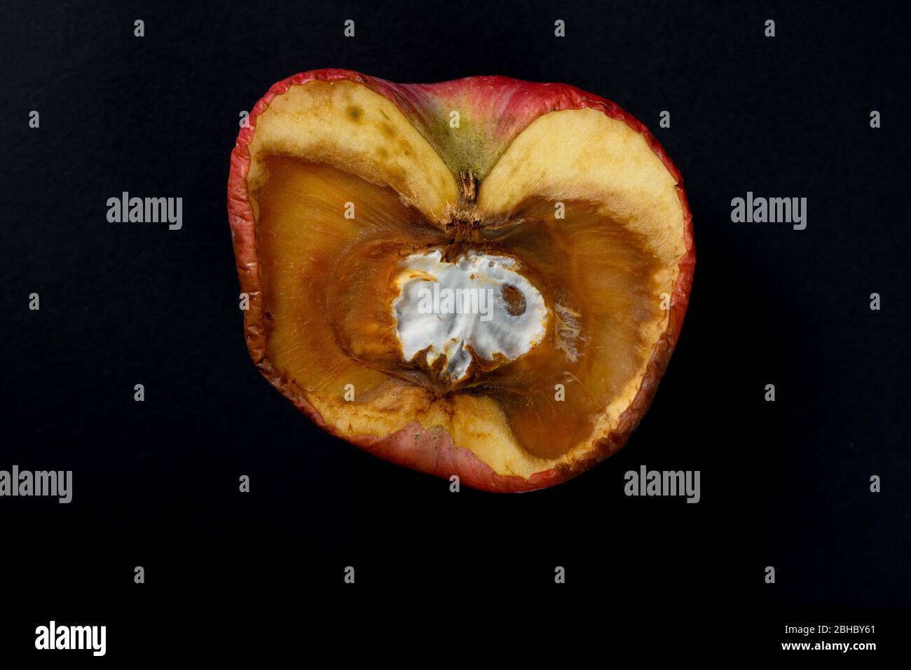 Apple with rotten core hi-res stock photography and images - Alamy
