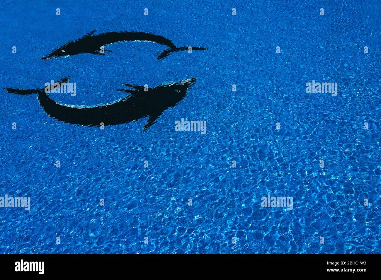 Swimming pool, blue clear water in the outdoor pool, with sun flare on ...