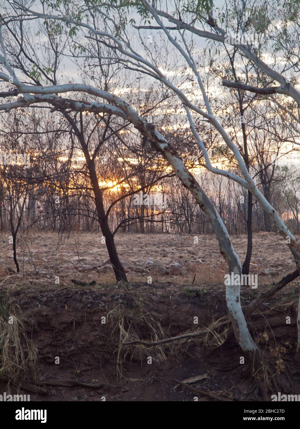 Sunrise over burnt savannah, Tablelands, Kimberley, Western Australia ...