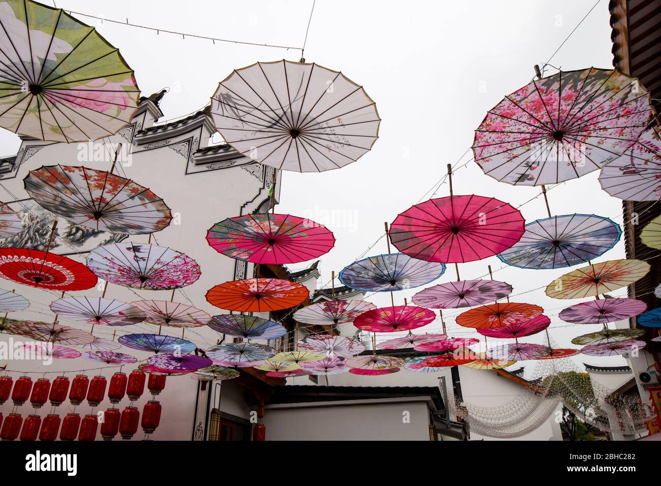 Beautiful purple flower suspended hi-res stock photography and images ...
