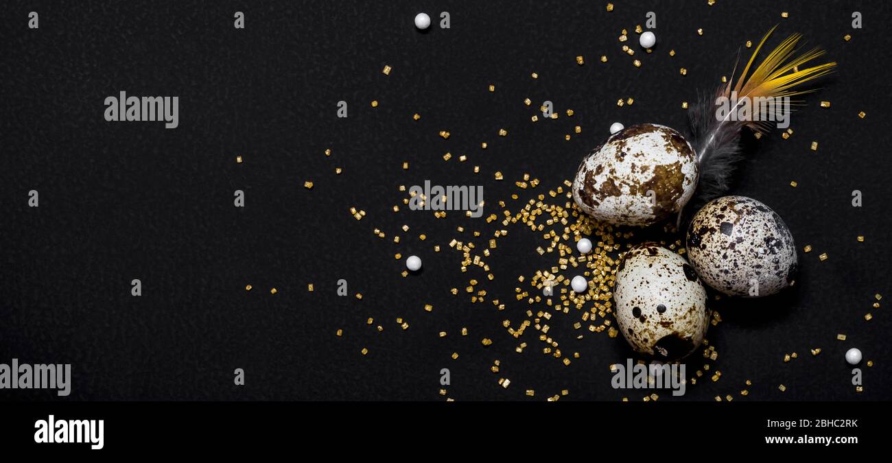 Quail eggs and feathers on black background. Moody easter decor, banner ...