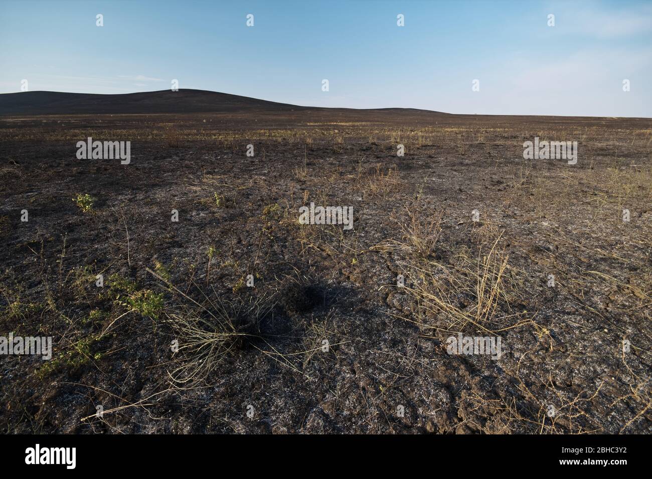 Ecology problem hi-res stock photography and images - Alamy