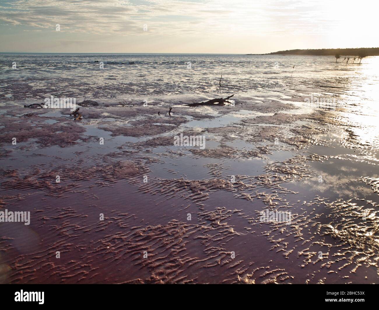 Intertidal Zone High Resolution Stock Photography and Images - Alamy