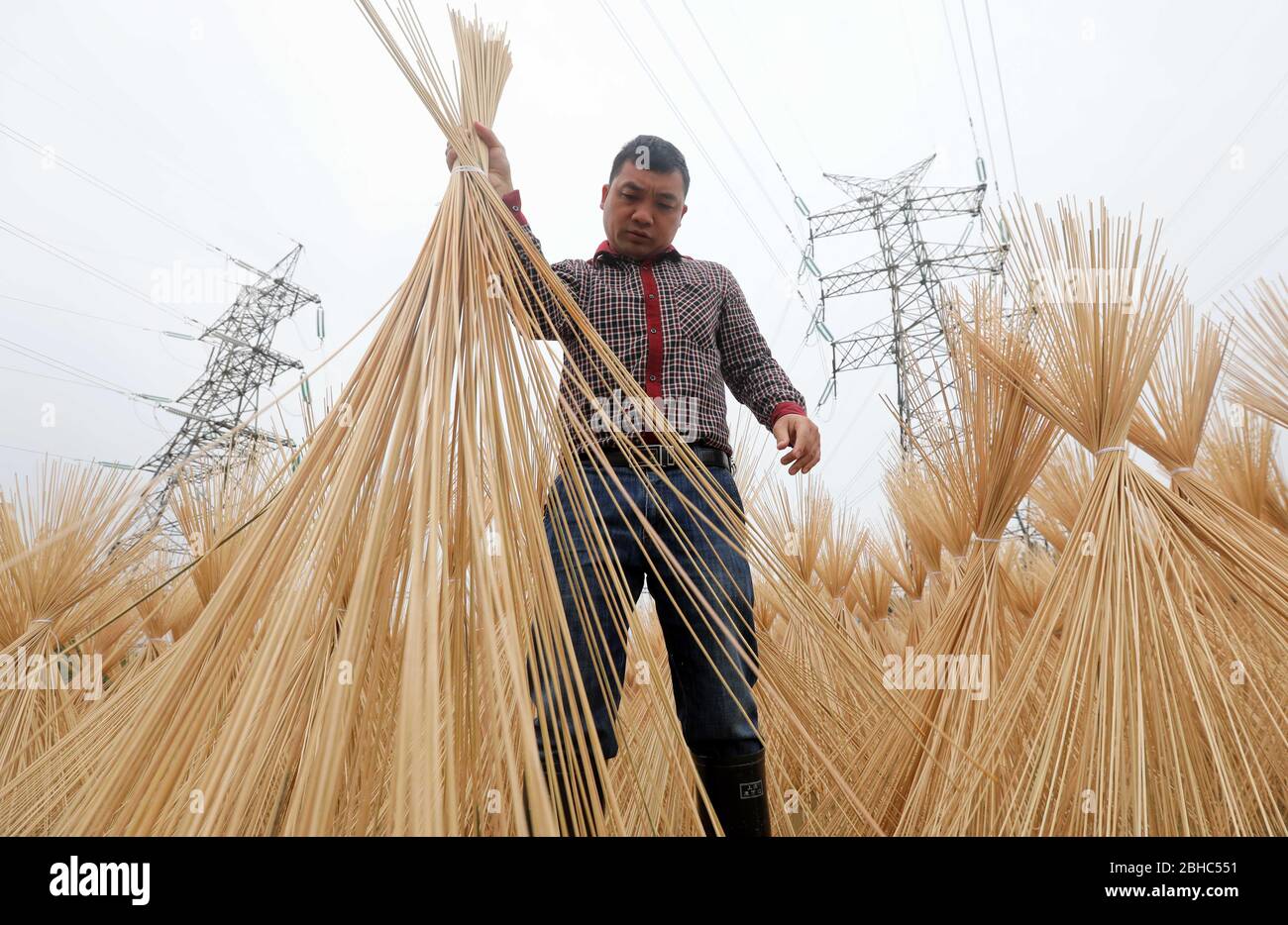 Rongan, China's Guangxi Zhuang Autonomous Region. 24th Apr, 2020. A ...