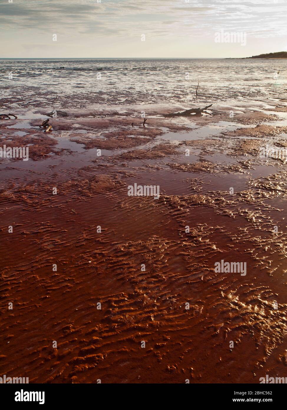 Tropical mudflats hi-res stock photography and images - Alamy