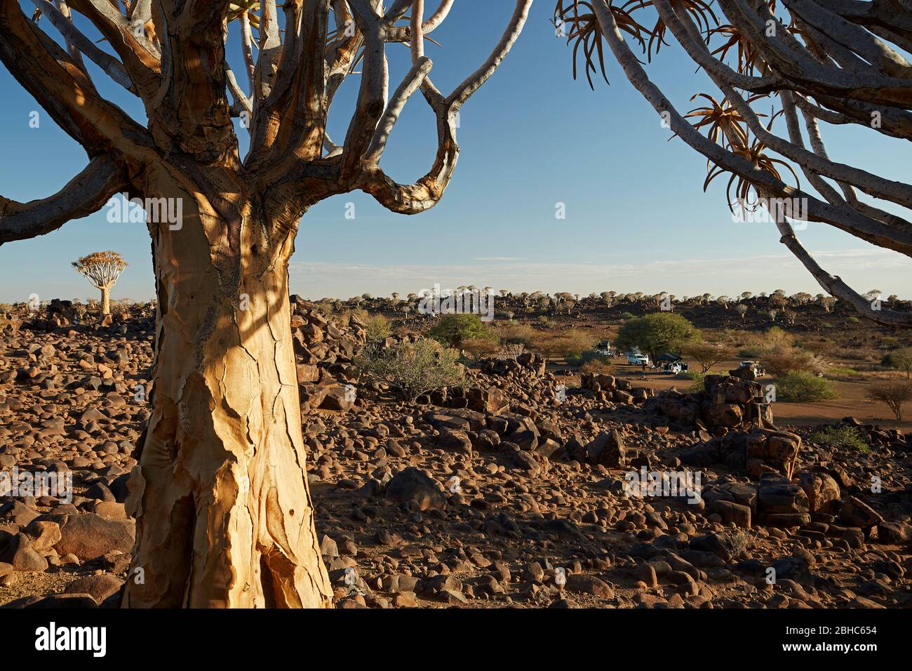 Namibian Parks High Resolution Stock Photography and Images - Alamy