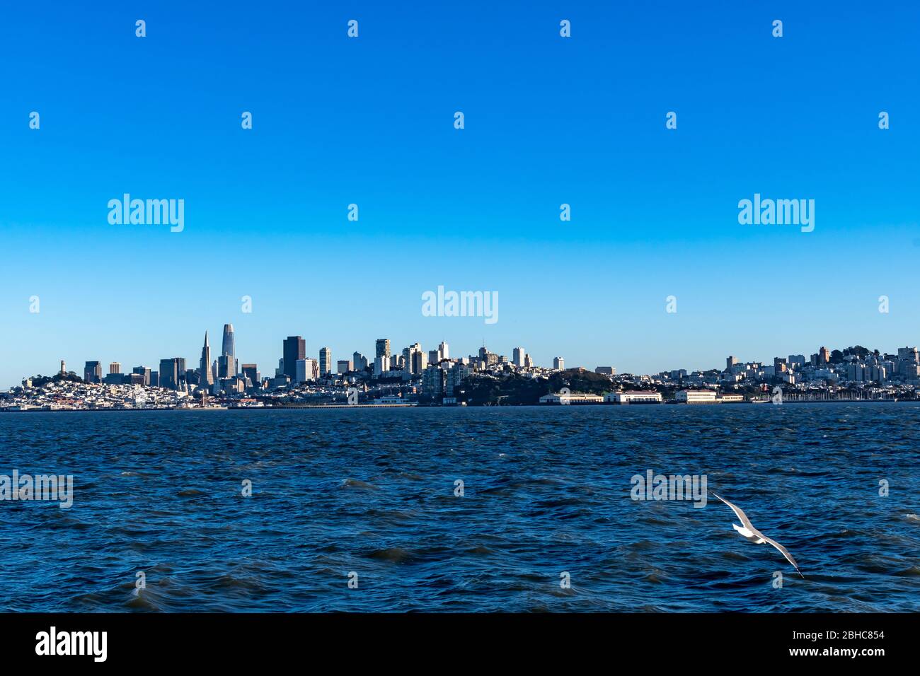 Panorama shot of the San Francisco California Downtown Skyline from ...