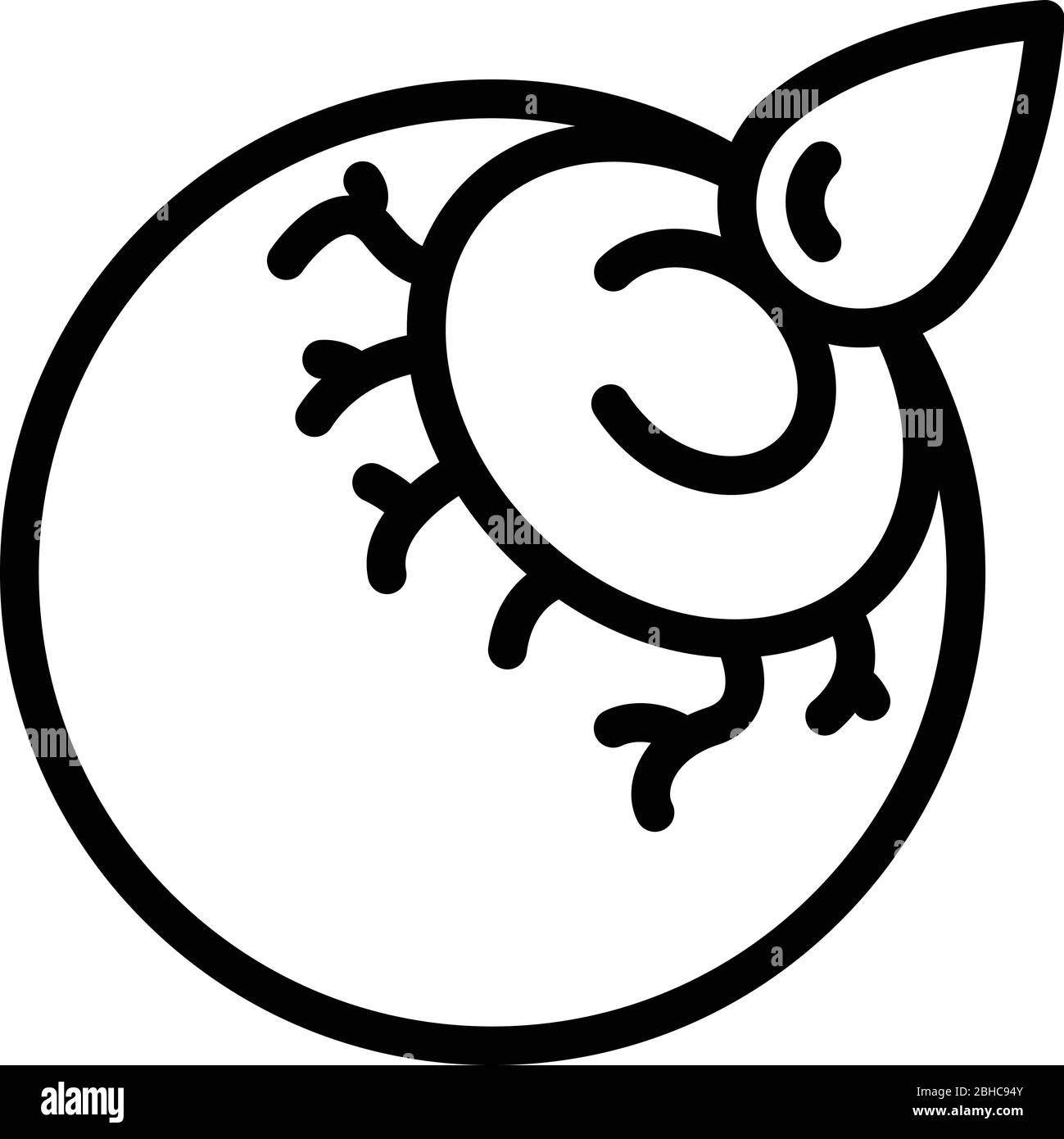 Astigmatism drawing hi-res stock photography and images - Alamy