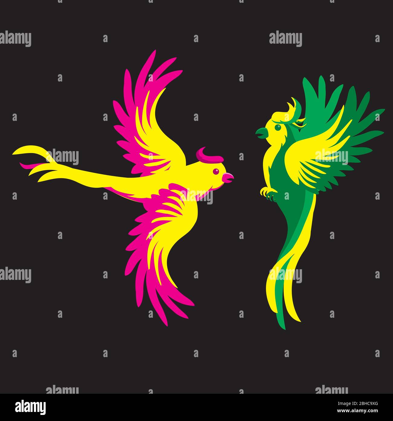 Cartoon parrot on a black isolated background. Vector image Stock ...