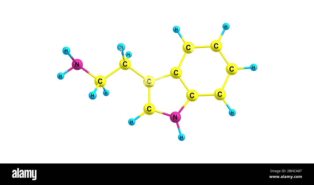 Tryptamine is a monoamine alkaloid. It contains an indole ring ...