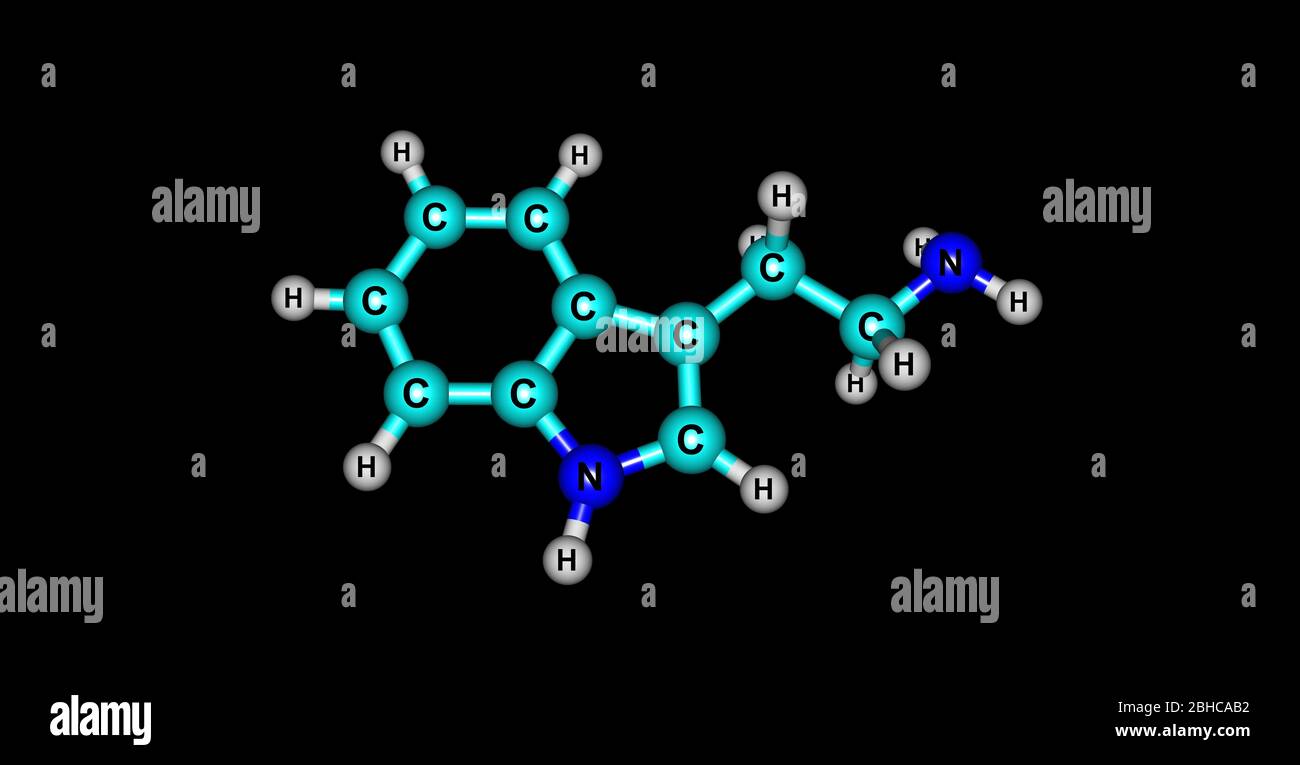 Tryptamine is a monoamine alkaloid. It contains an indole ring ...