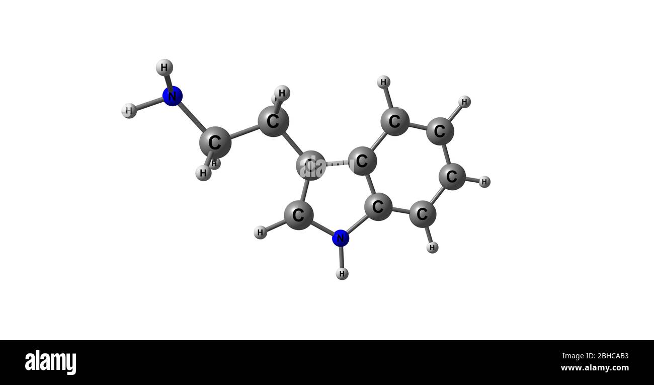 Tryptamine is a monoamine alkaloid. It contains an indole ring ...