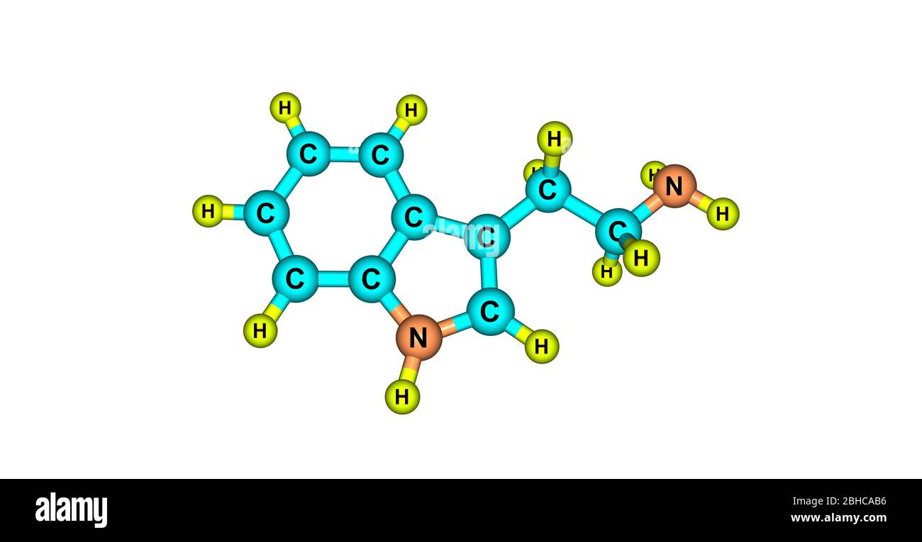 Tryptamine is a monoamine alkaloid. It contains an indole ring ...