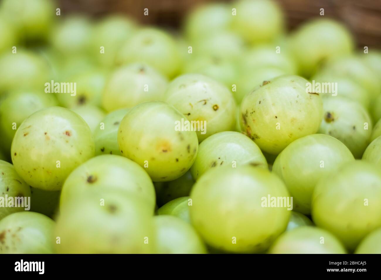 Fresh Amla fruit on local market closeup . Gooseberry for sale in ...