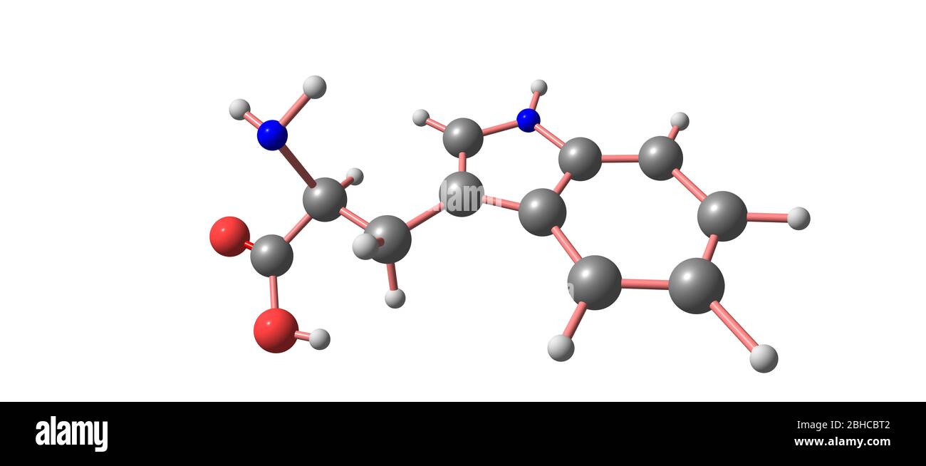 Tryptophan or Trp is an amino acid that is used in the biosynthesis of ...
