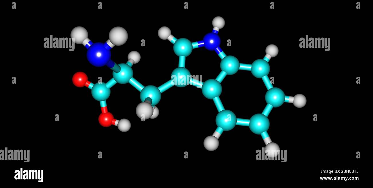 Tryptophan or Trp is an amino acid that is used in the biosynthesis of ...