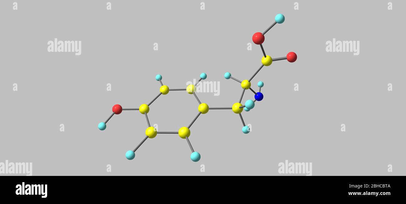 Tyrosine or Tyr or 4-hydroxyphenylalanine is one of the 20 standard ...