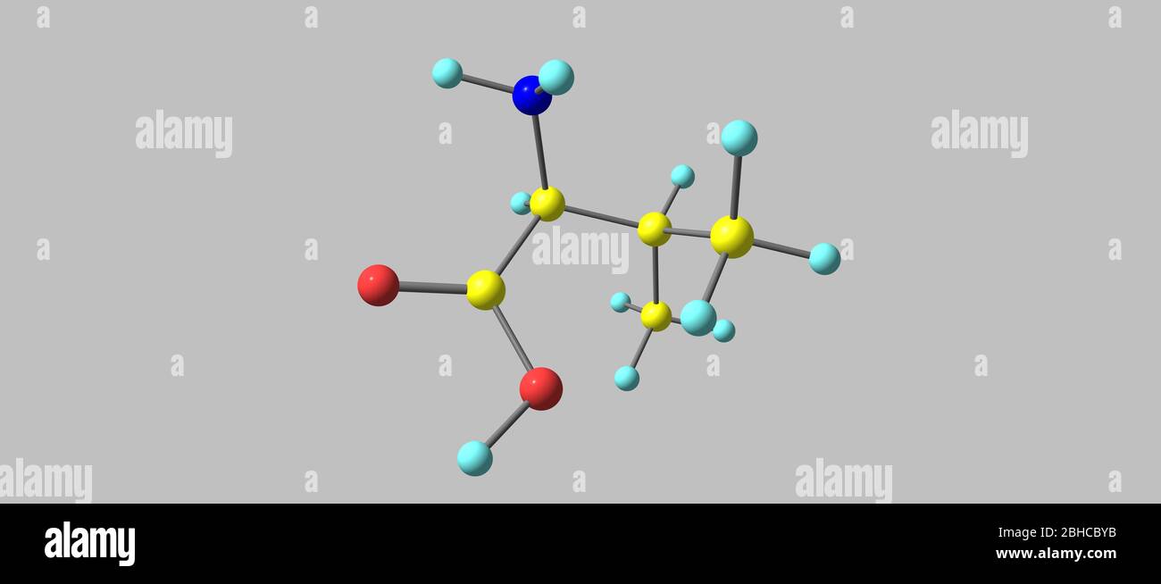 Valine or Val an amino acid that is used in the biosynthesis of ...