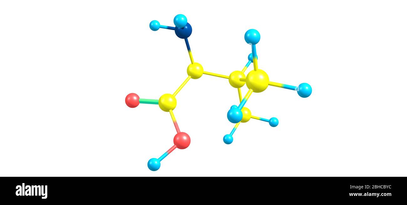 Valine or Val an amino acid that is used in the biosynthesis of ...