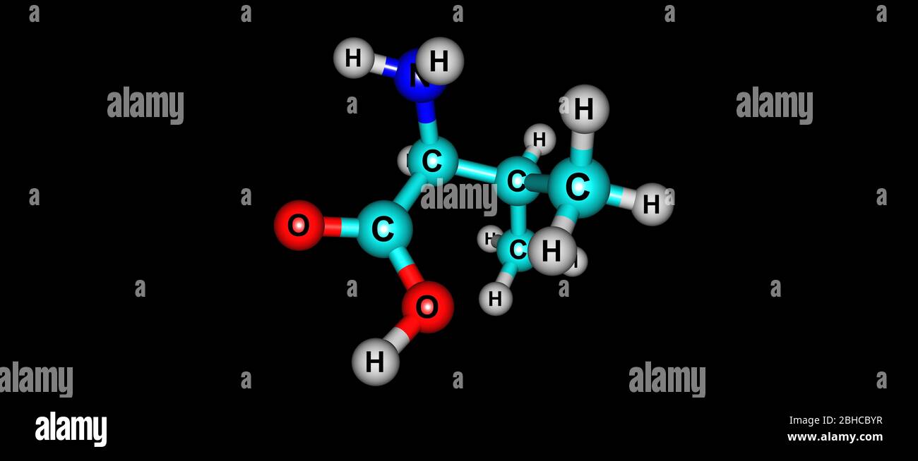 Valine or Val an amino acid that is used in the biosynthesis of ...