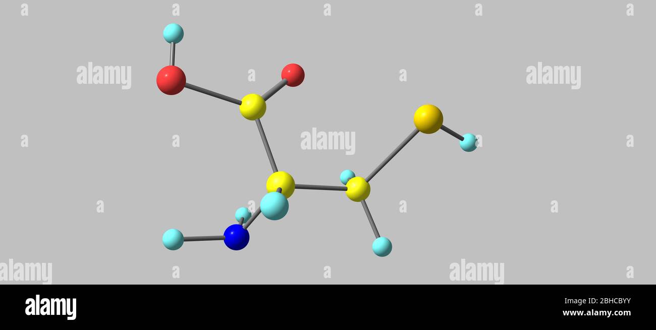 Cysteine is a semiessential proteinogenic amino acid. 3d illustration ...