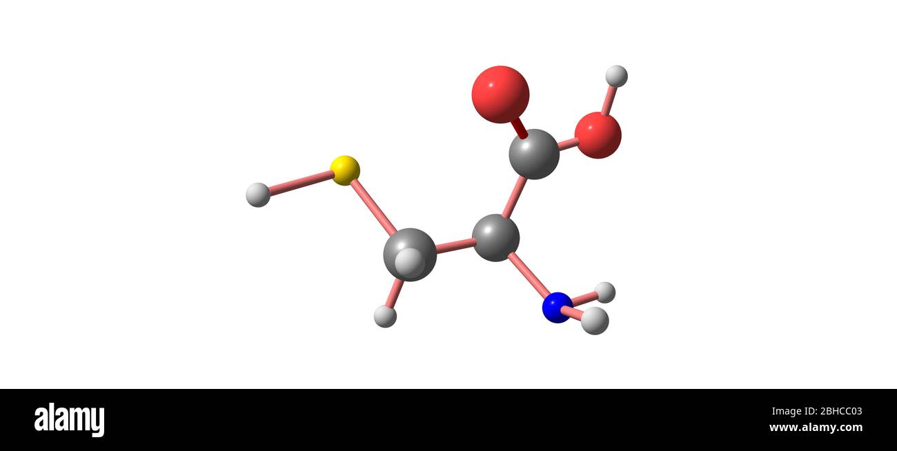 Cysteine amino acid molecule hi-res stock photography and images - Alamy
