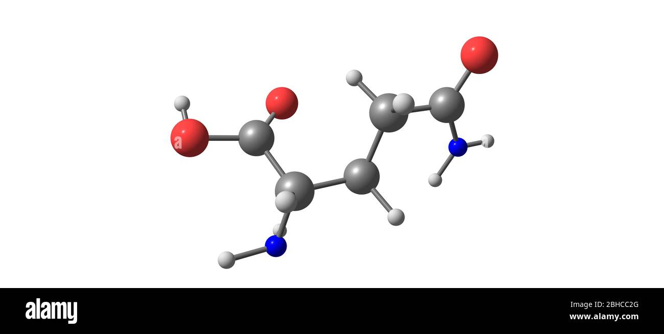 Glutamine or Gln is an amino acid that is used in the biosynthesis of ...