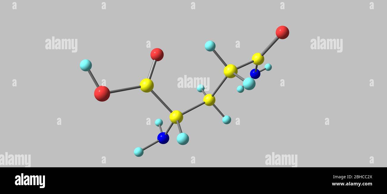 Glutamine or Gln is an amino acid that is used in the biosynthesis of ...
