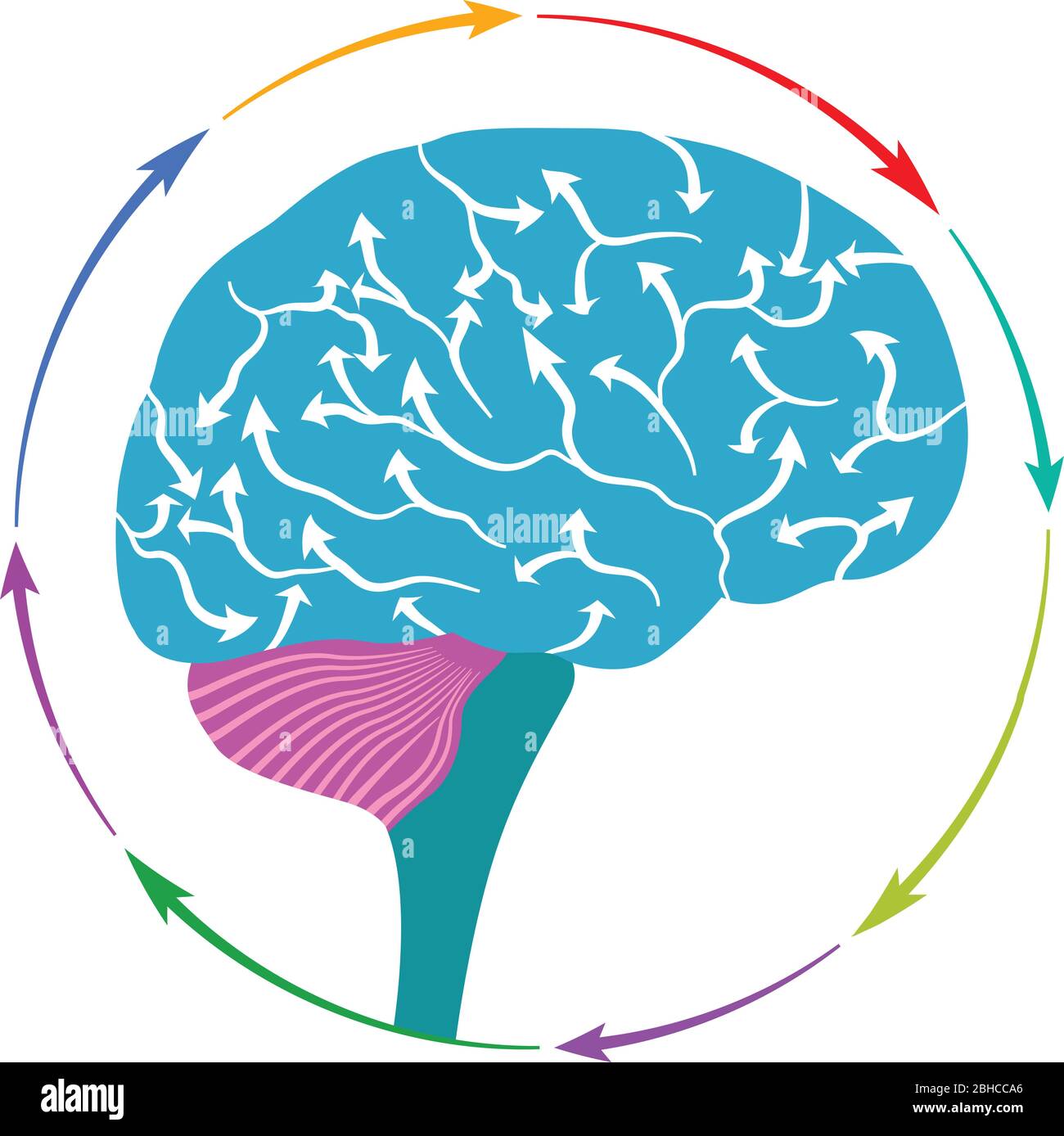 brain arrow logo Stock Vector Image & Art - Alamy