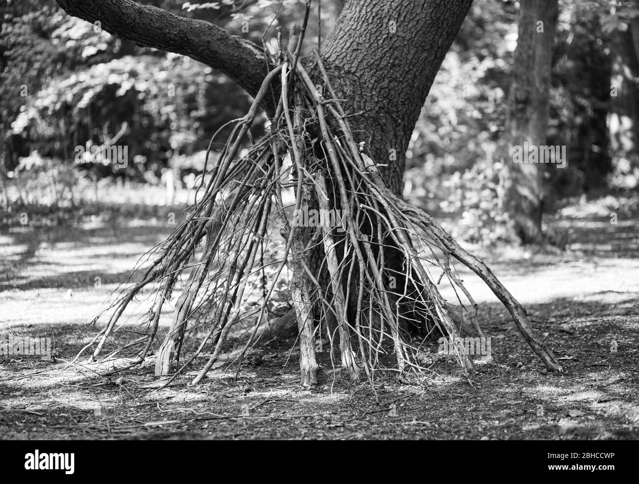 Man made shelter hi-res stock photography and images - Alamy