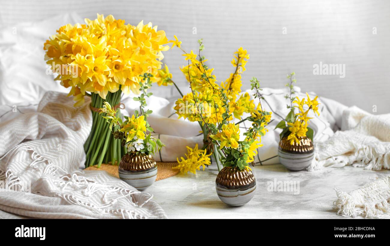 Spring flowers and blooms in a cozy home atmosphere Stock Photo - Alamy