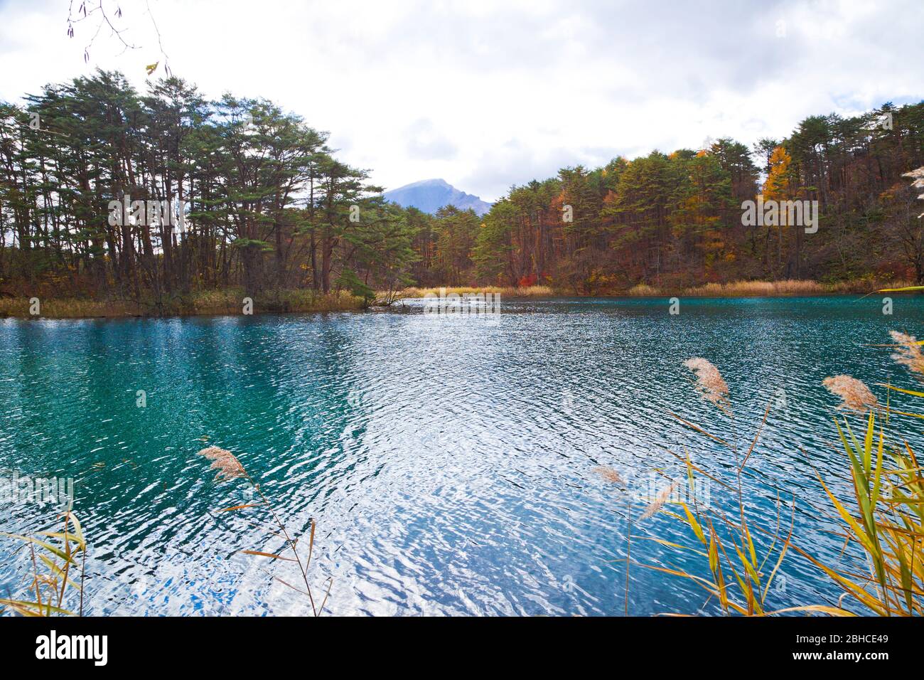 Tourists ride in a boat on a Goshikinuma (Five Colored Lakes) in ...