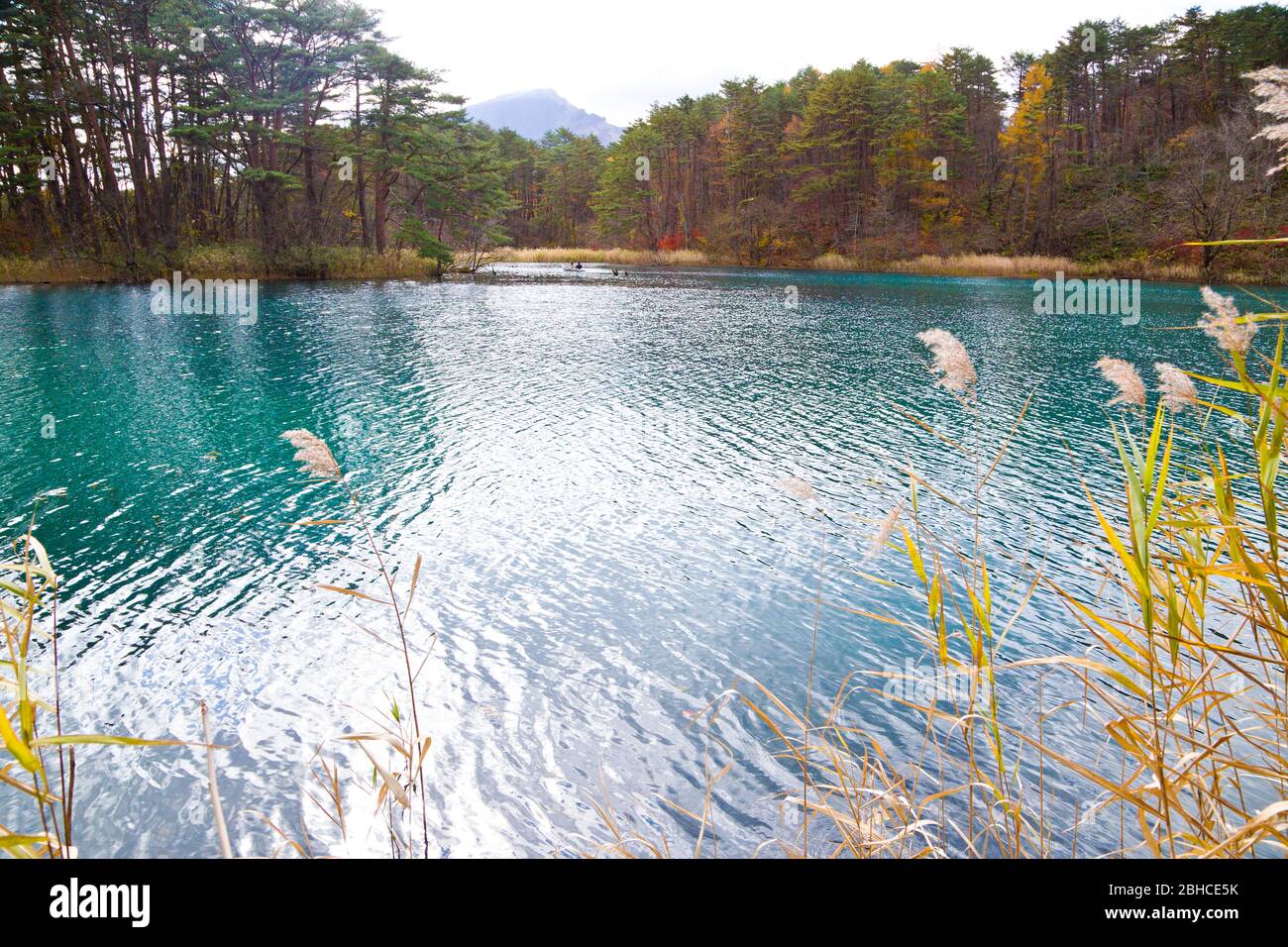 Tourists ride in a boat on a Goshikinuma (Five Colored Lakes) in ...