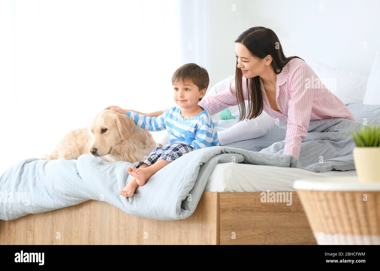 Happy family with dog in bedroom at home Stock Photo - Alamy