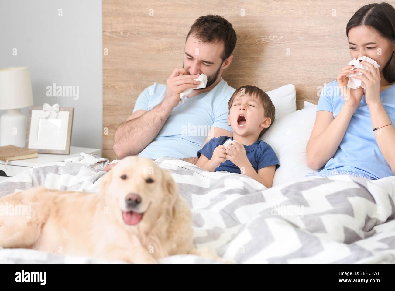 Family ill with flu in bed at home Stock Photo - Alamy