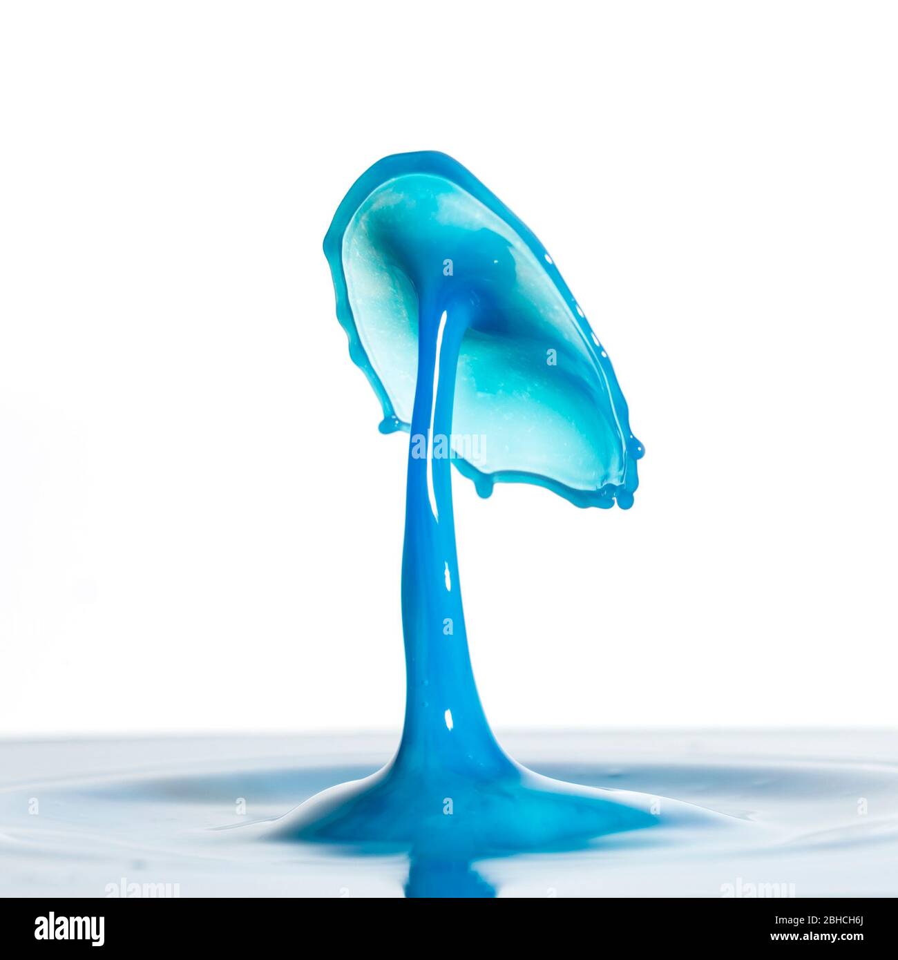 Stunning unique abstract water splash photography images with vibrant ...