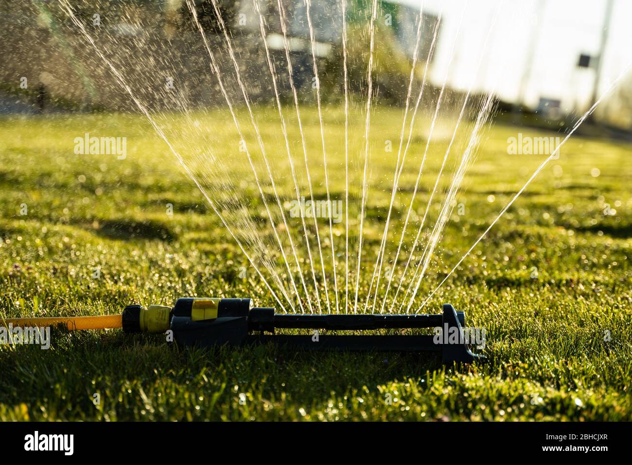 Lawn sprinkler spraying water over green grass. Modern device of ...