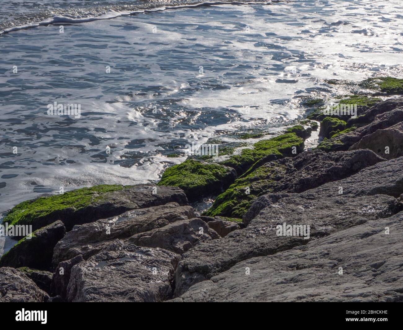 Cliff covered with green algae Stock Photo - Alamy