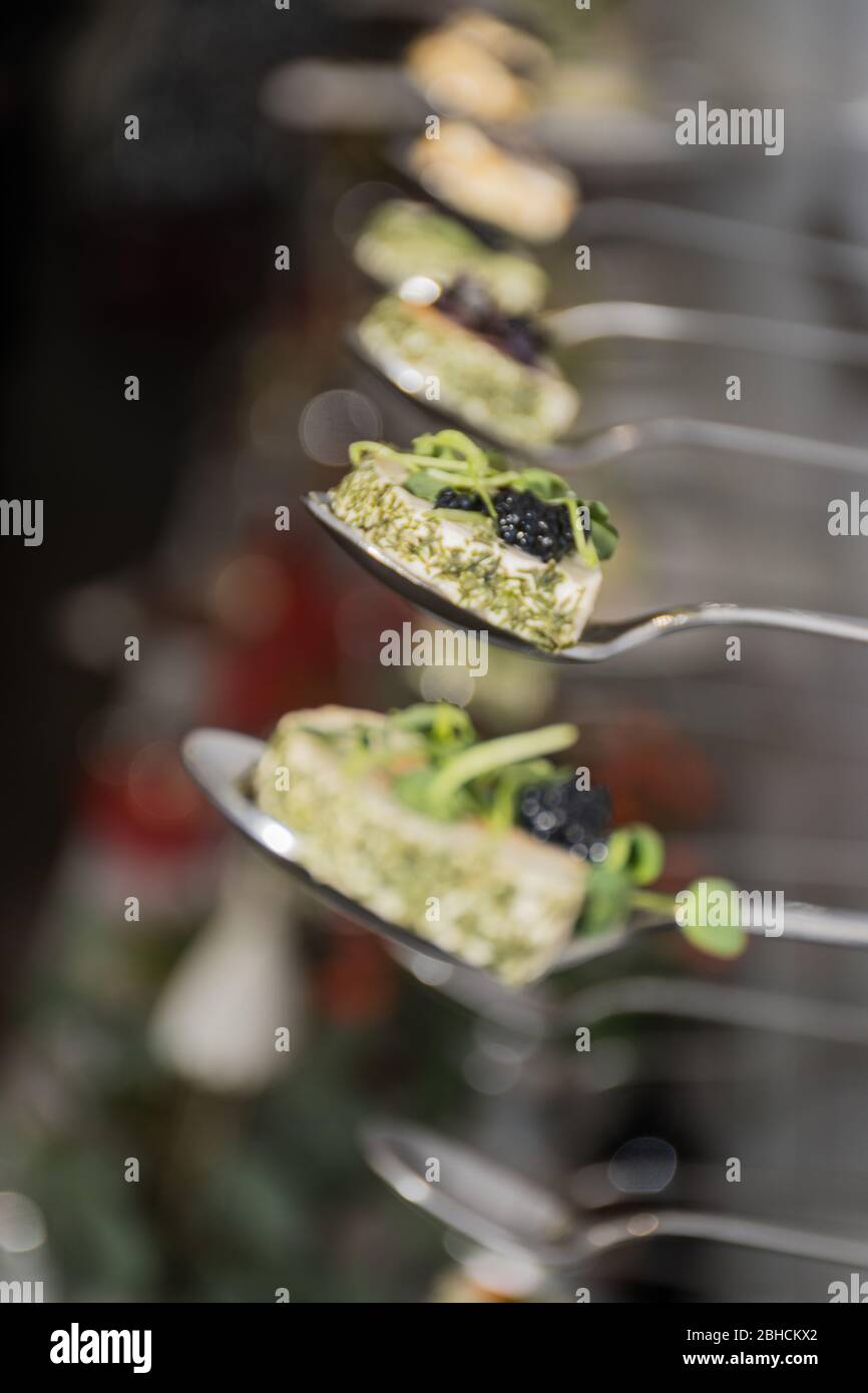 Tasty canapes plates in line hanging with caviar and cream cheese ...