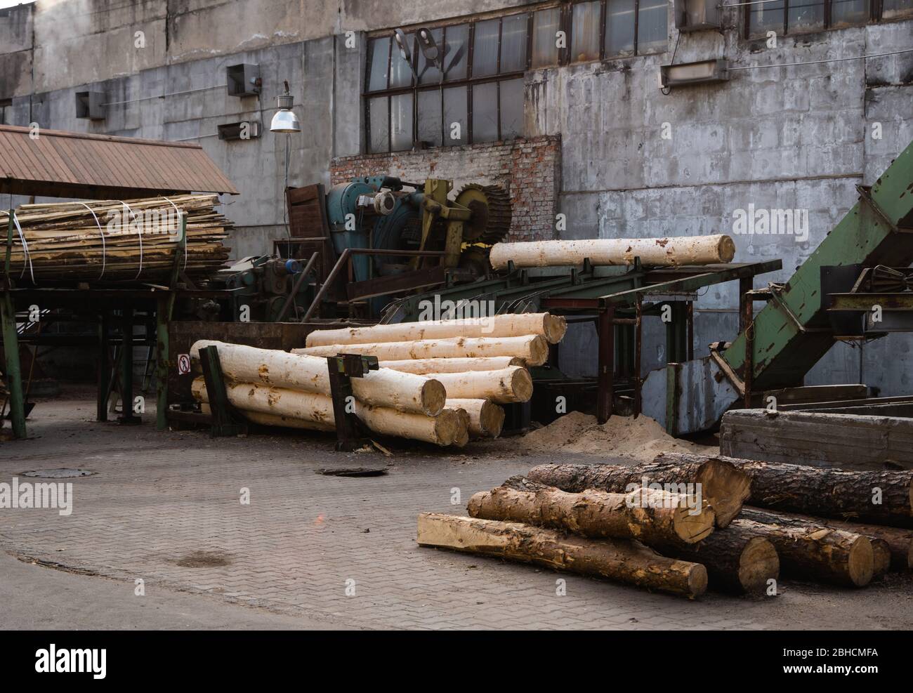 Bark removal from large logs on sawmill. Preparation of the wooden logs ...