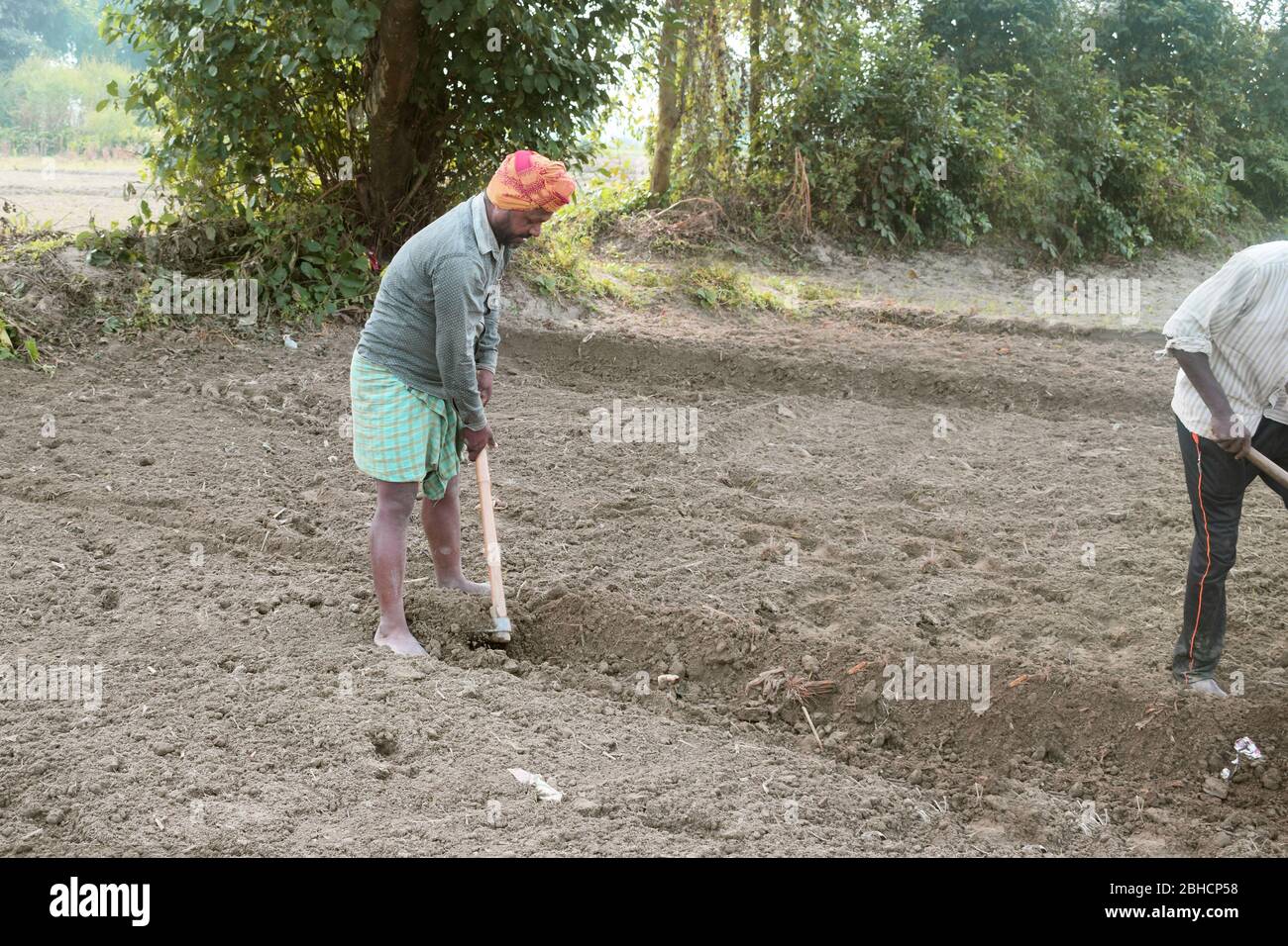 Ploughing with hoe hi-res stock photography and images - Alamy
